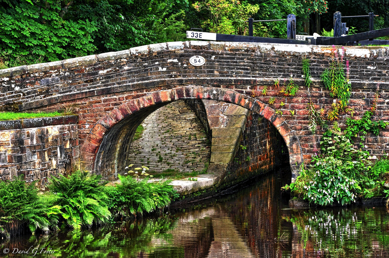 The winners of the Calendar Competition are here – Friends of Marsden ...
